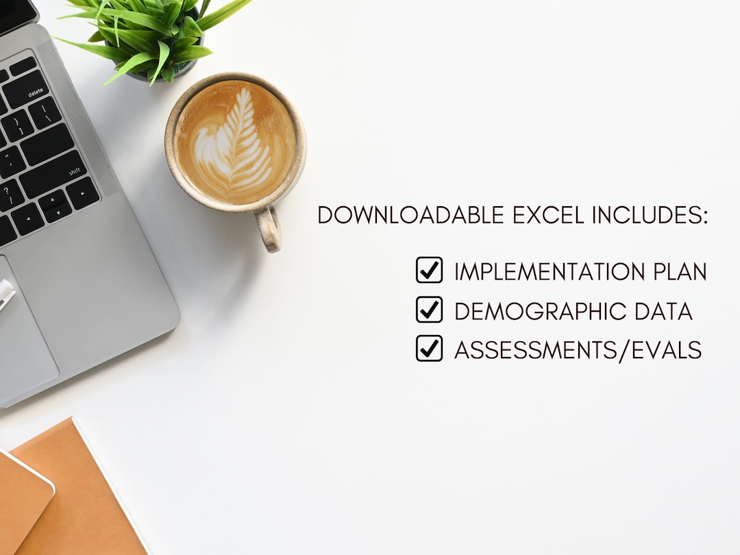 Implementation Plan Template & Demographic Data Tracking Template ...