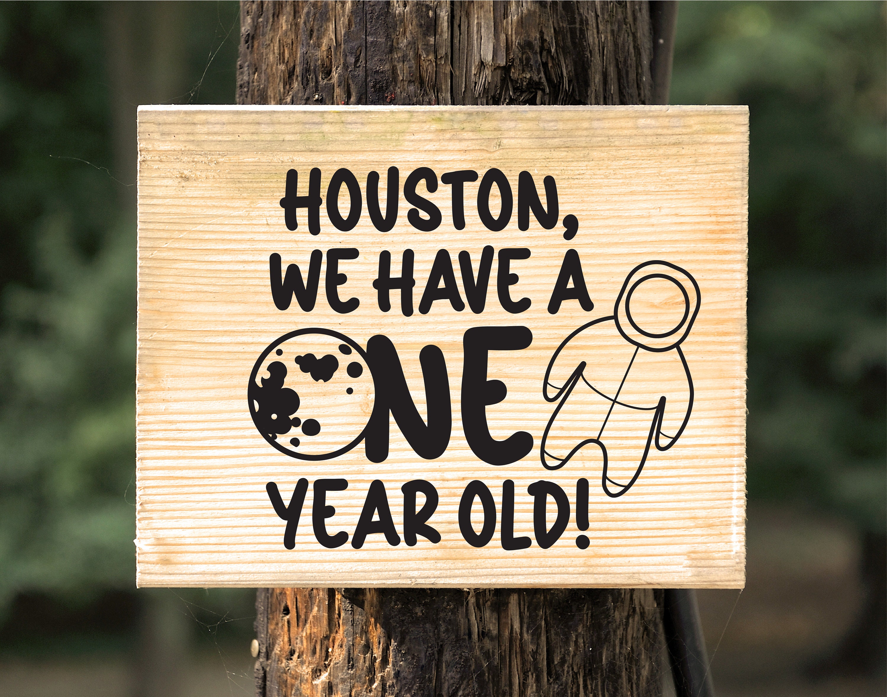Houston We Have A One Year Old SVG PNG, First Trip Around the Sun Svg ...