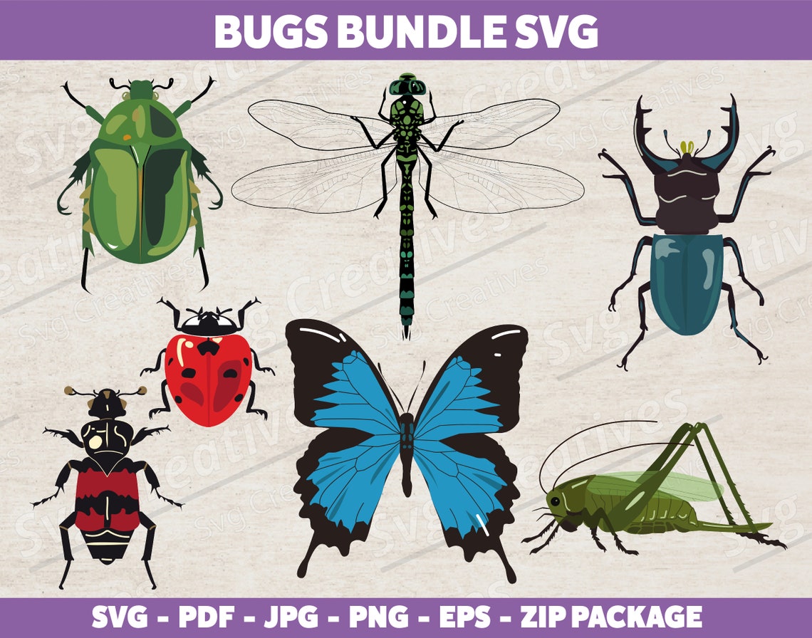 Insects SVG PNG Pdf Eps Jpg Bugs Svg Butterfly Svg Beetle - Etsy
