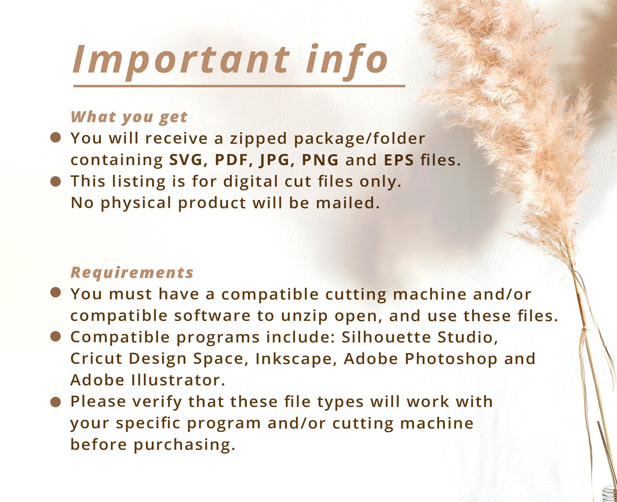 50 and Rocking It Svg Png Pdf, 50th Birthday Svg, Its My Birthday Svg ...