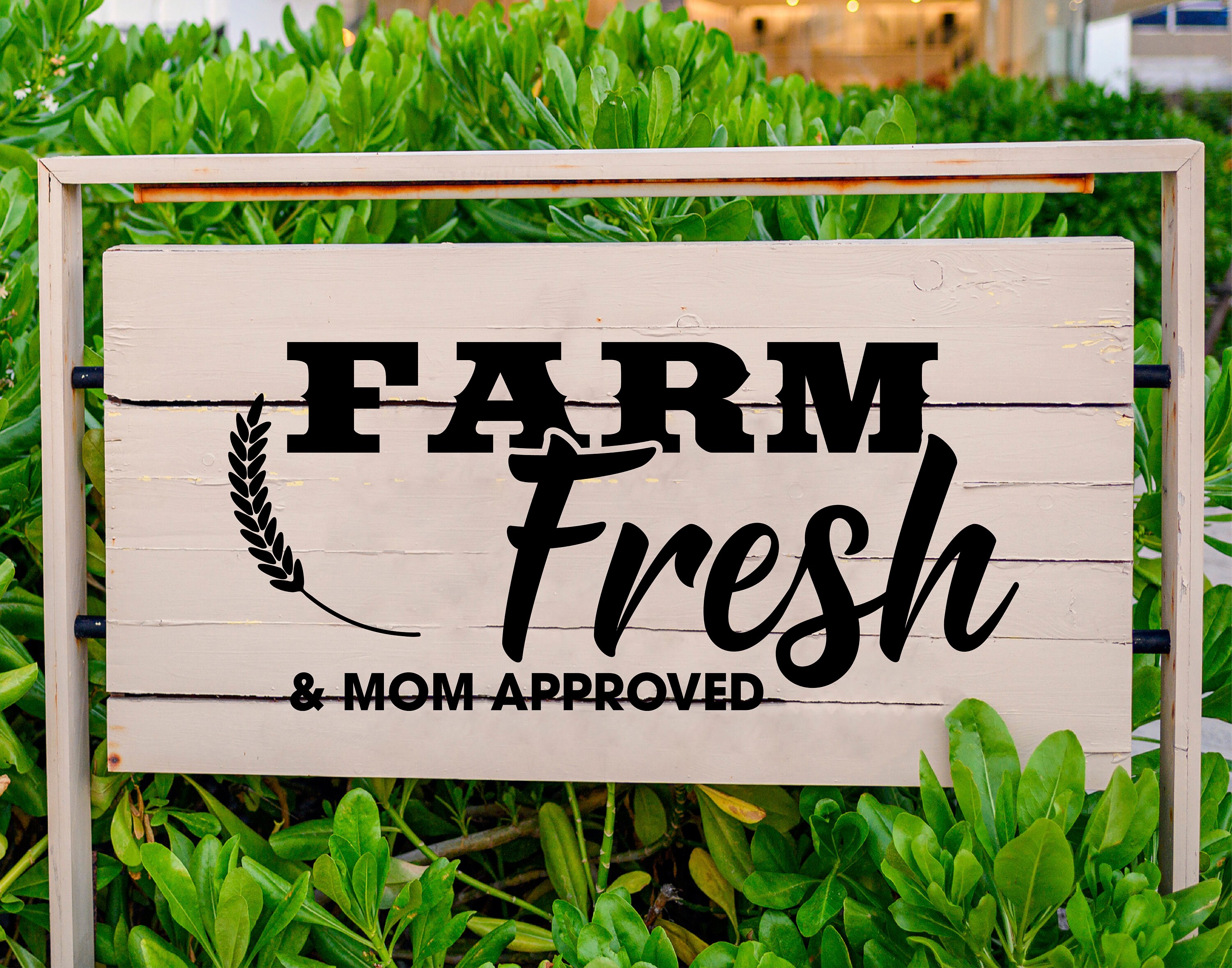 Farm Fresh Svg Png Pdf Jpg Eps, Small Town Girl Svg, Country Girl Svg ...