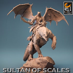 Winged Dragonborn W/ Sword Mounted on Dragonling | Dungeons and Dragons ...