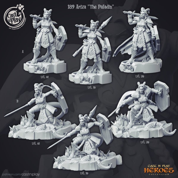 Female Tiefling Paladin Miniatures - Etsy