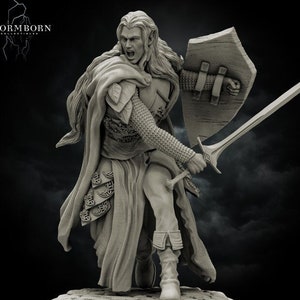 Elf Paladin With Sword and Shield and Elven Chainmail Armor PC NPC | 5 ...