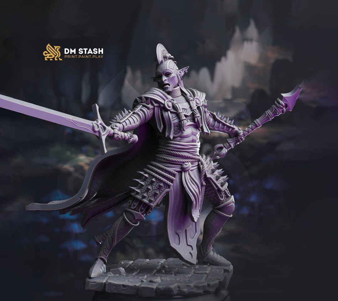 Elf Fighter, Eldritch Knight, Rogue, Dark Elf, Drow PC NPC Dnd|5 Sizes ...