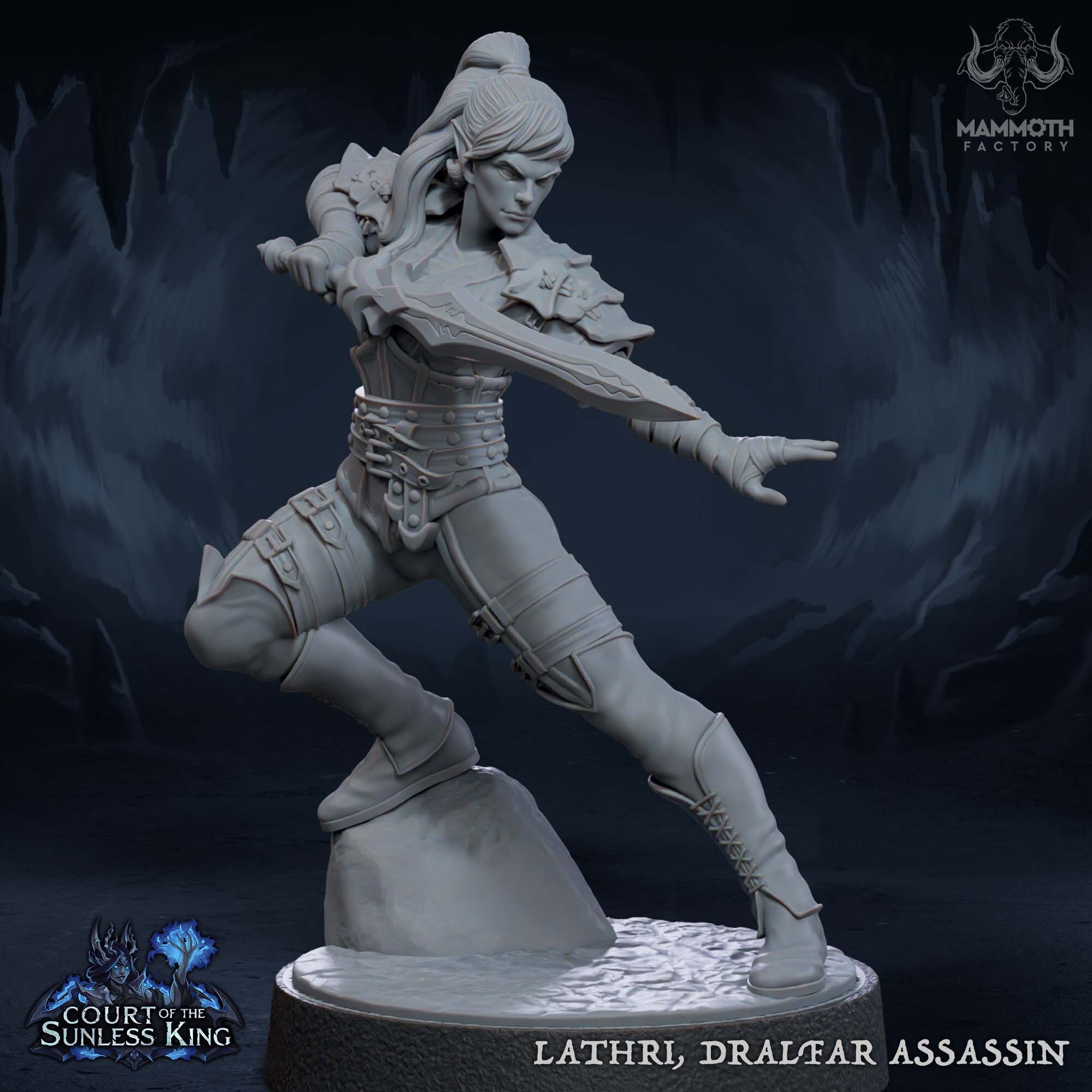 Elf Assassin Rogue PC / NPC Unpainted | 5 Sizes /scale | Resin D&D 5e ...