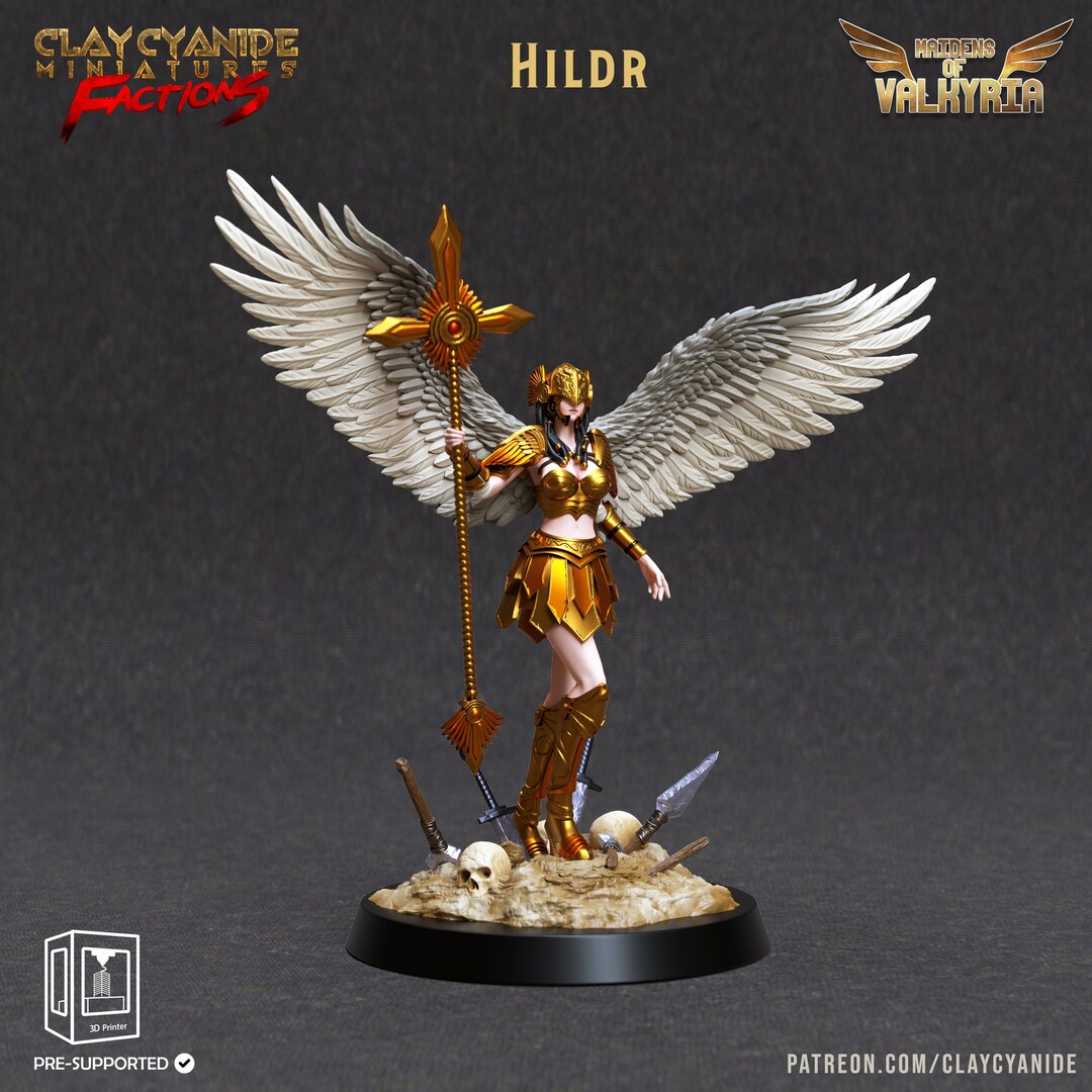 Female Valkyrie Angel Celestial Paladin of Vengeance | 28mm, 32mm, 75mm ...