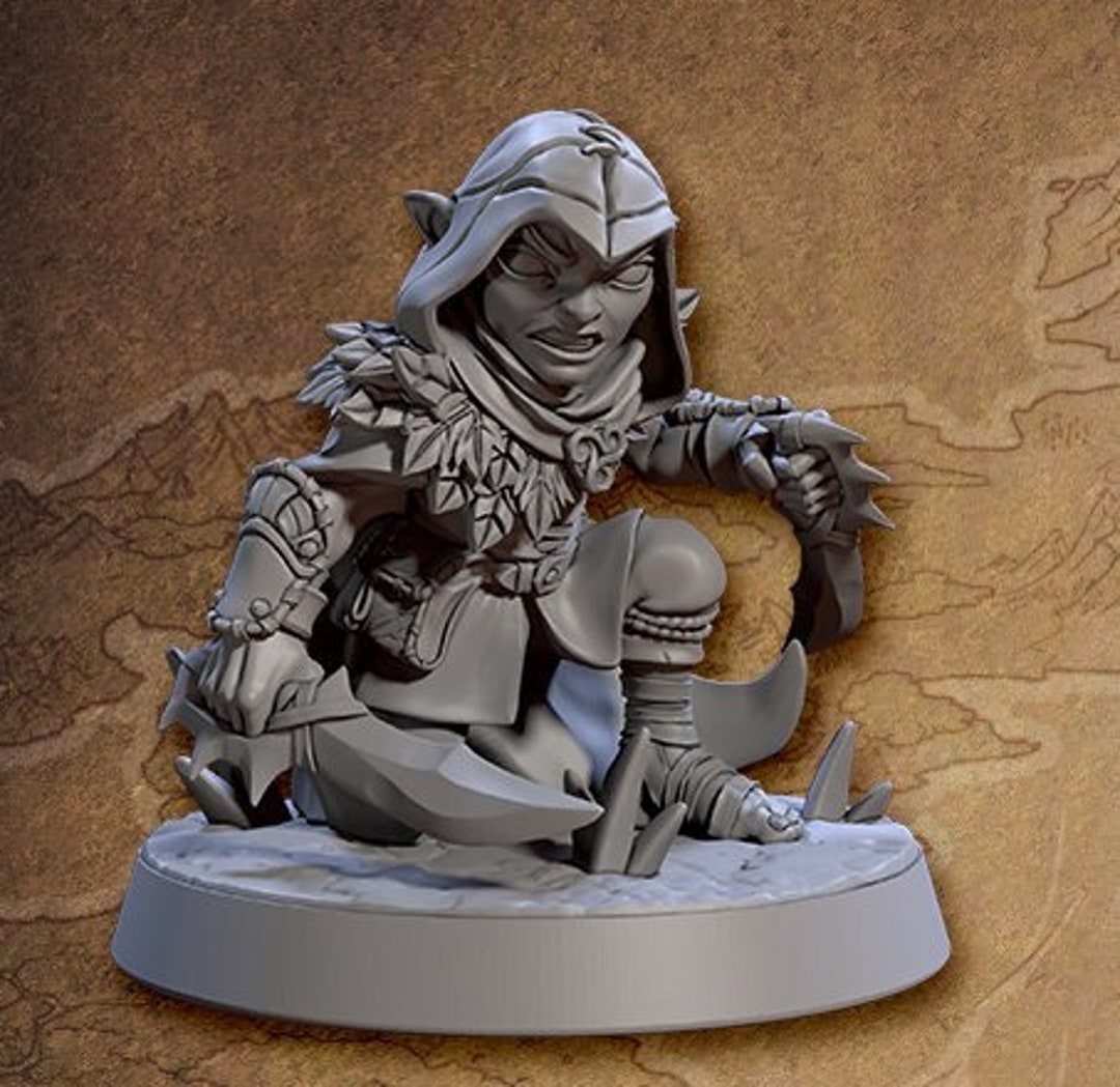 Halfling Gnome Rogue ,ranger,fighter Short Sword and Dagger PC NPC ...