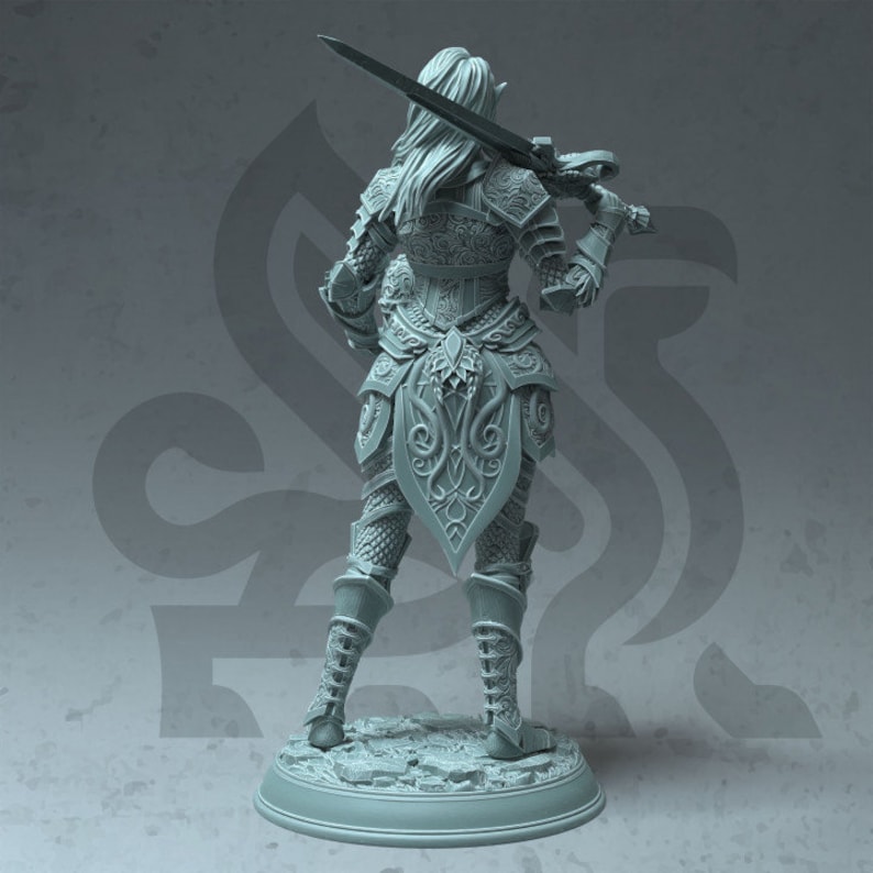 Female High Elf Paladin Fighter Spell Blade, Moon Elf, Eladrin | 5 ...