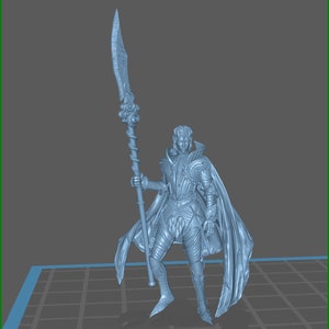 Human Fighter Polearm Master Paladin Adventurer PC or NPC | 3 Sizes ...