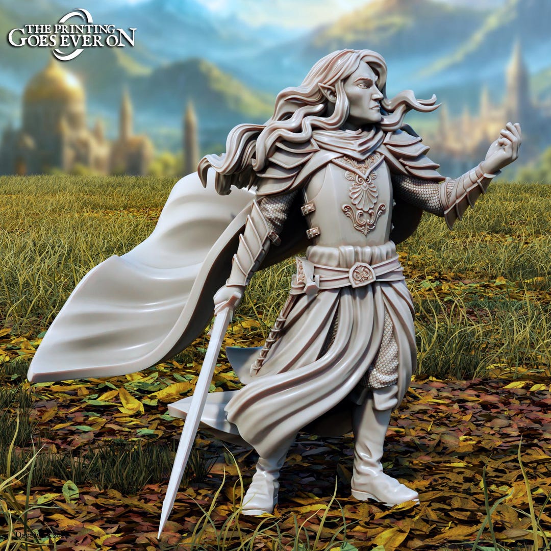 Elf Fighter Eldritch Knight, Paladin | Unpainted Miniature | 28mm, 32mm ...