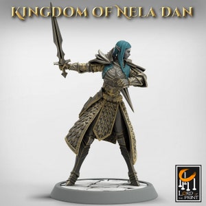 High Elf Ranger Fighter Sword and Dagger, Moon Elf, Eladrin Unpainted ...