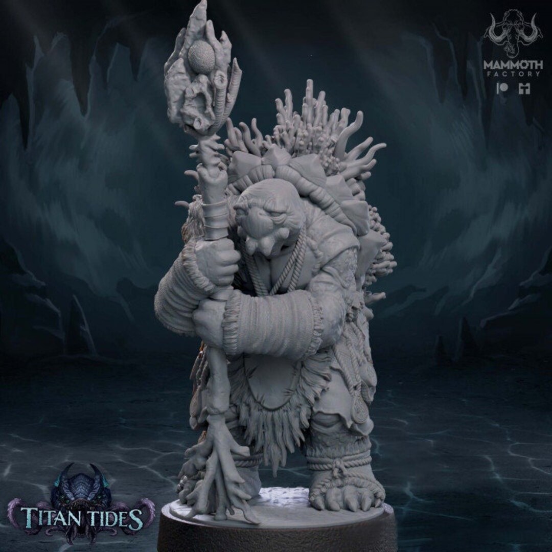 Sea Tortle Druid Cleric Monk NPC | 5 Sizes /scales | Player Character ...