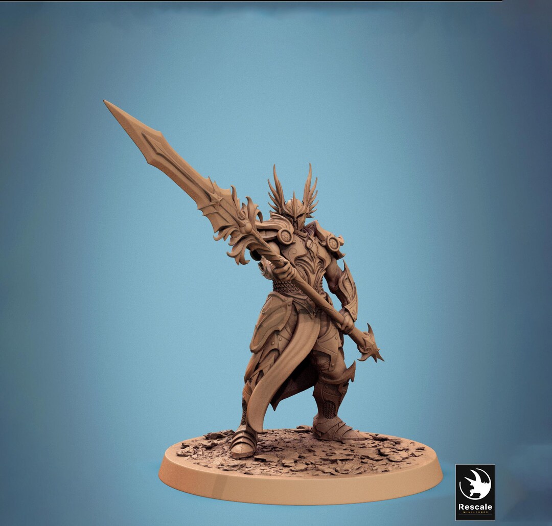 Human Paladin, Fighter Helm or No Helm, Polearm Master PC / NPC Dnd 5e ...