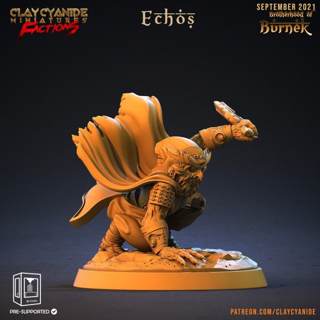 Owlfolk Rogue Assassin Arakocra |3 Sizes /scales | Resin Mini | Dnd ...