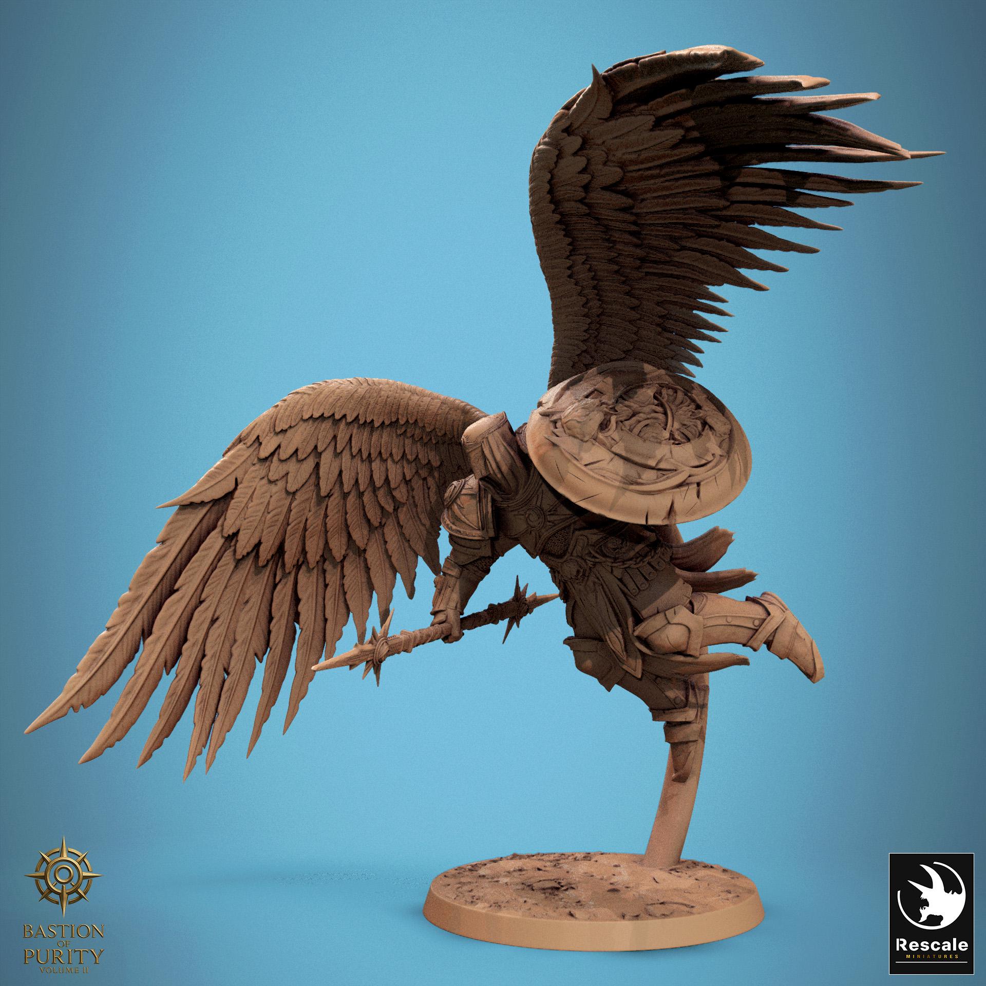 Aasimar Paladin, Angel, Solar,spear N Shield, Unpainted Miniature| 5 ...