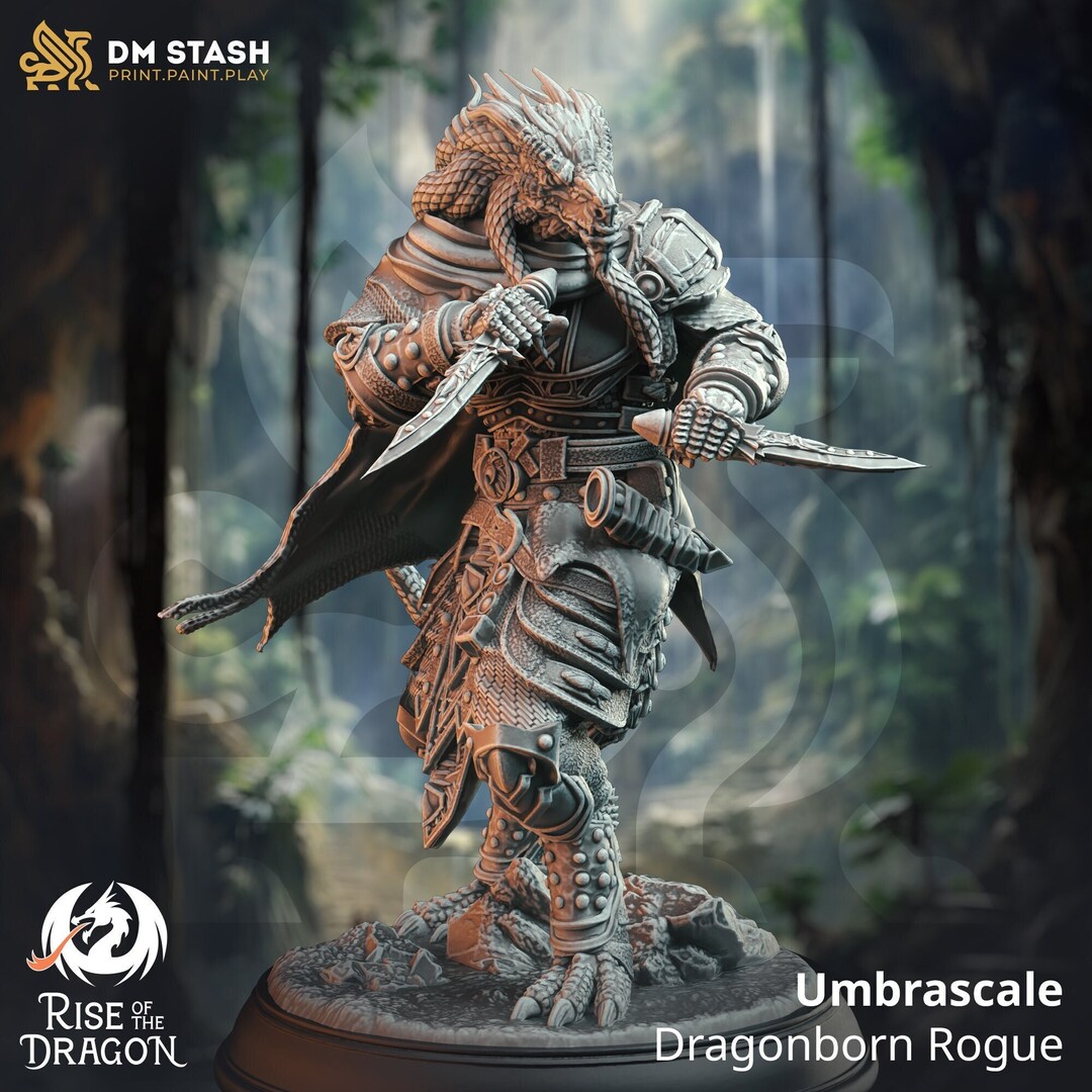 Dragonborn Rogue Thief Assassin, PC / NPC Unpainted Miniature | 5 Sizes ...
