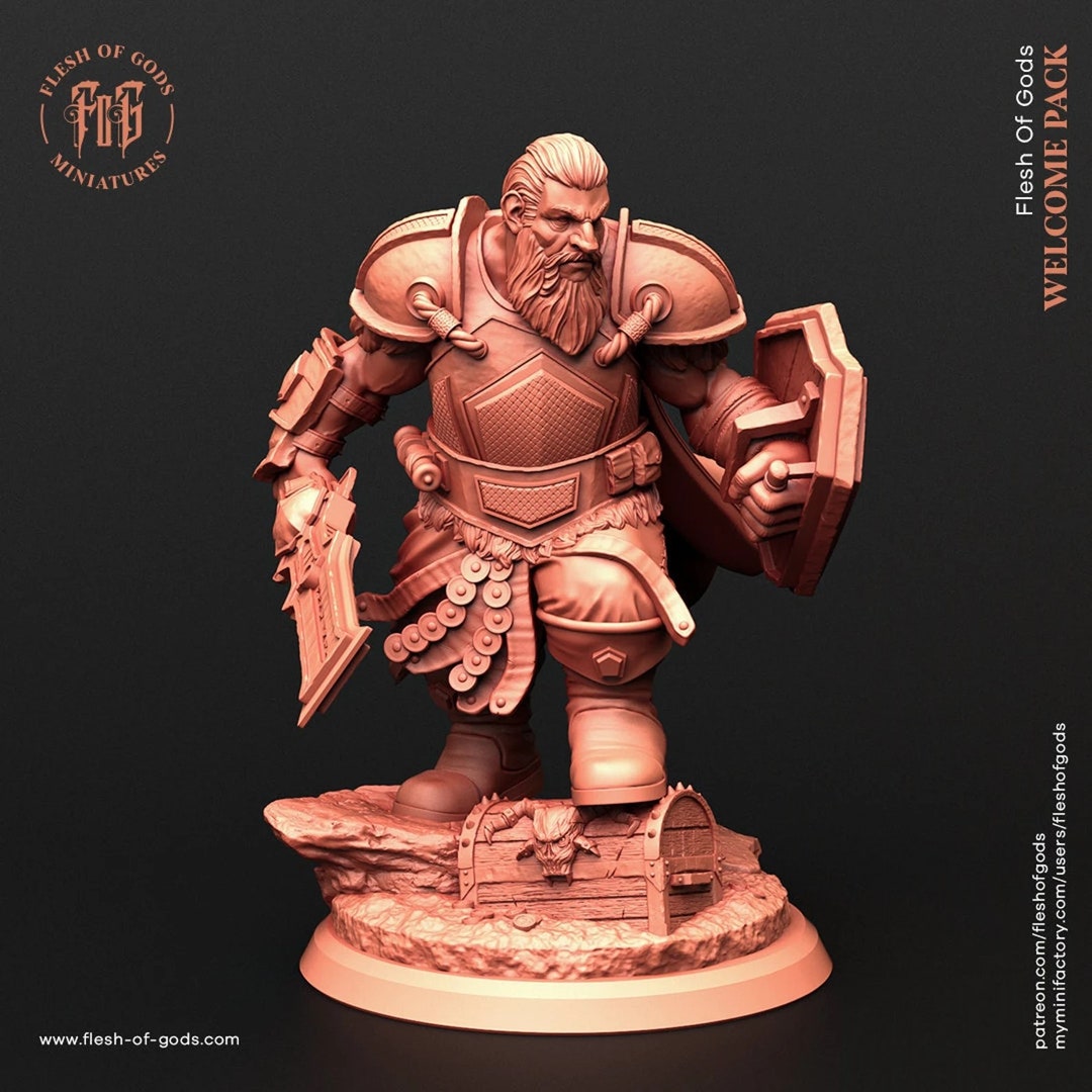 Dwarf Fighter Paladin Shield and Sword | 3 Sizes /scales | Figurine ...