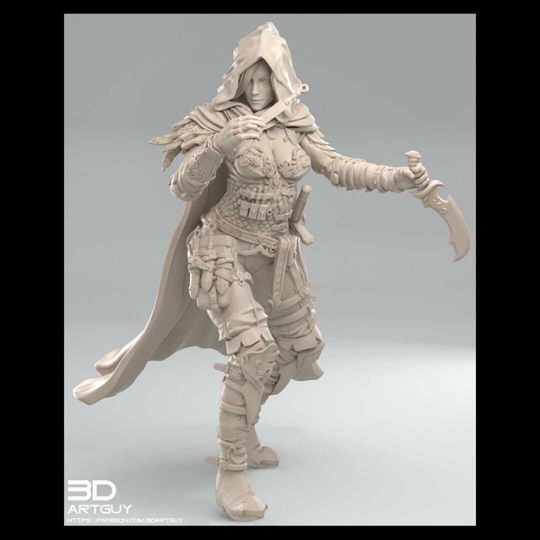 Female Assassin Rogue Miniature | Dnd Pathfinder RPG - Etsy