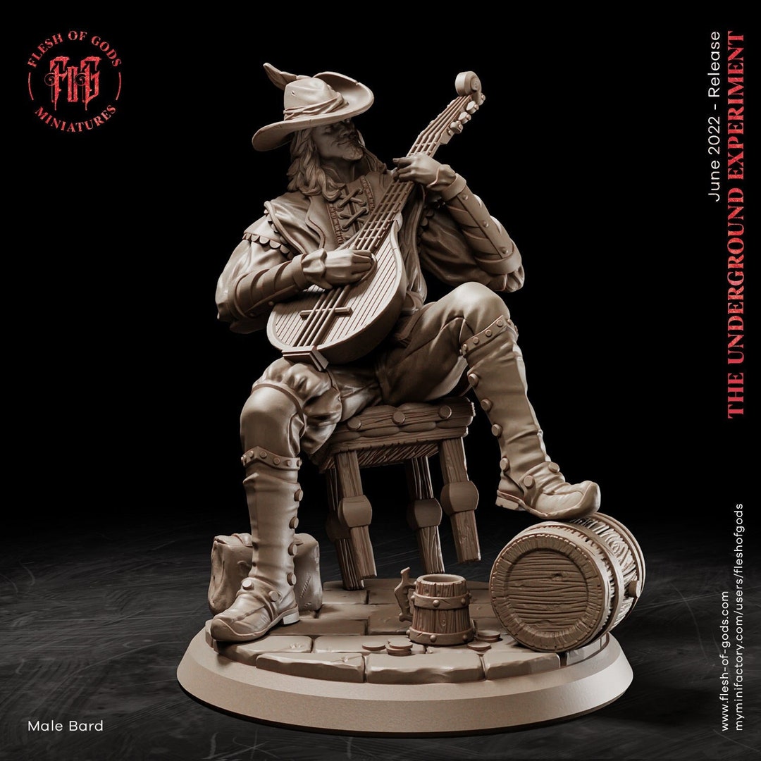 Bard Rogue Miniature | Resin RPG Figure - Etsy