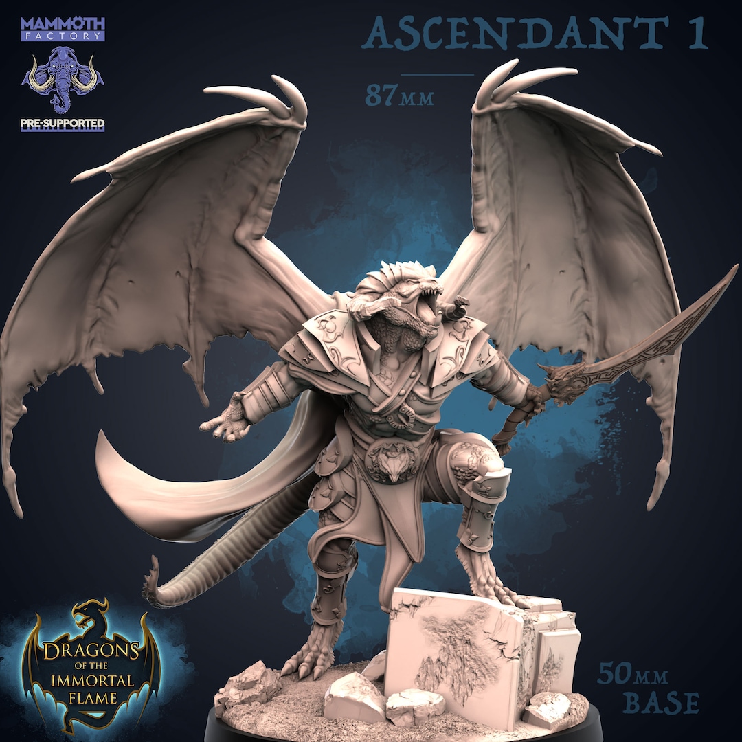 Dragonborn Winged Paladin With Sword | 4 Sizes /scale |resin Miniature ...