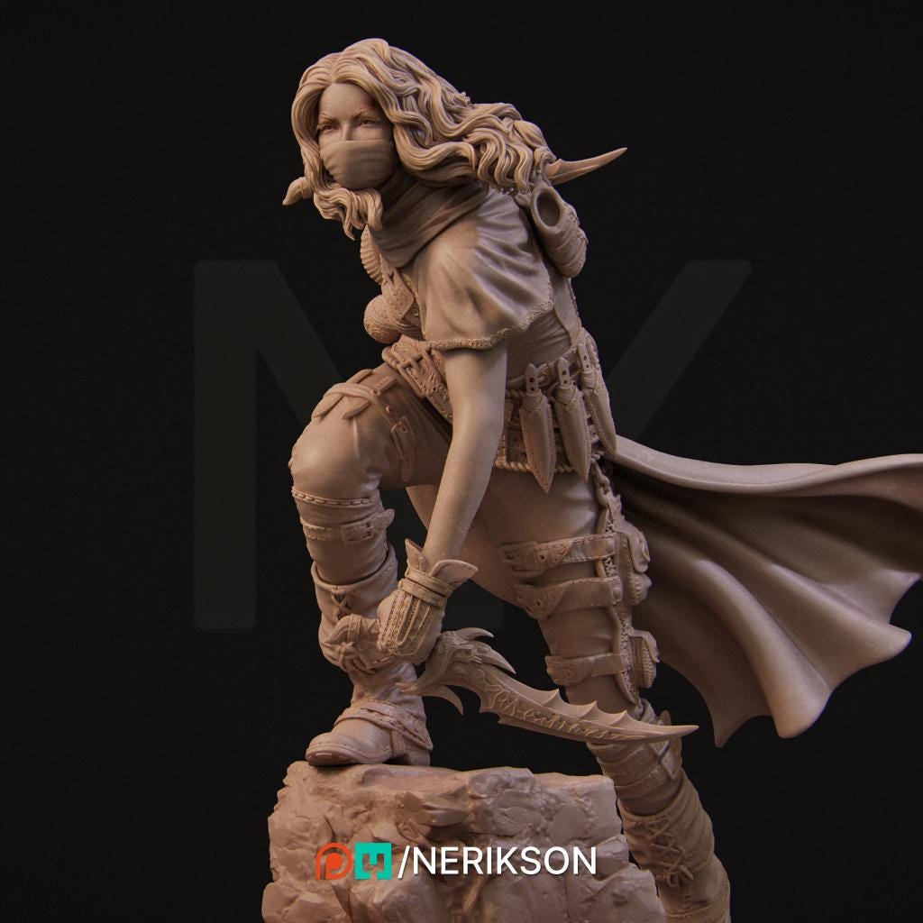 Female Human Rogue Assassin PC / NPC Unpainted Miniature | 5 Sizes ...