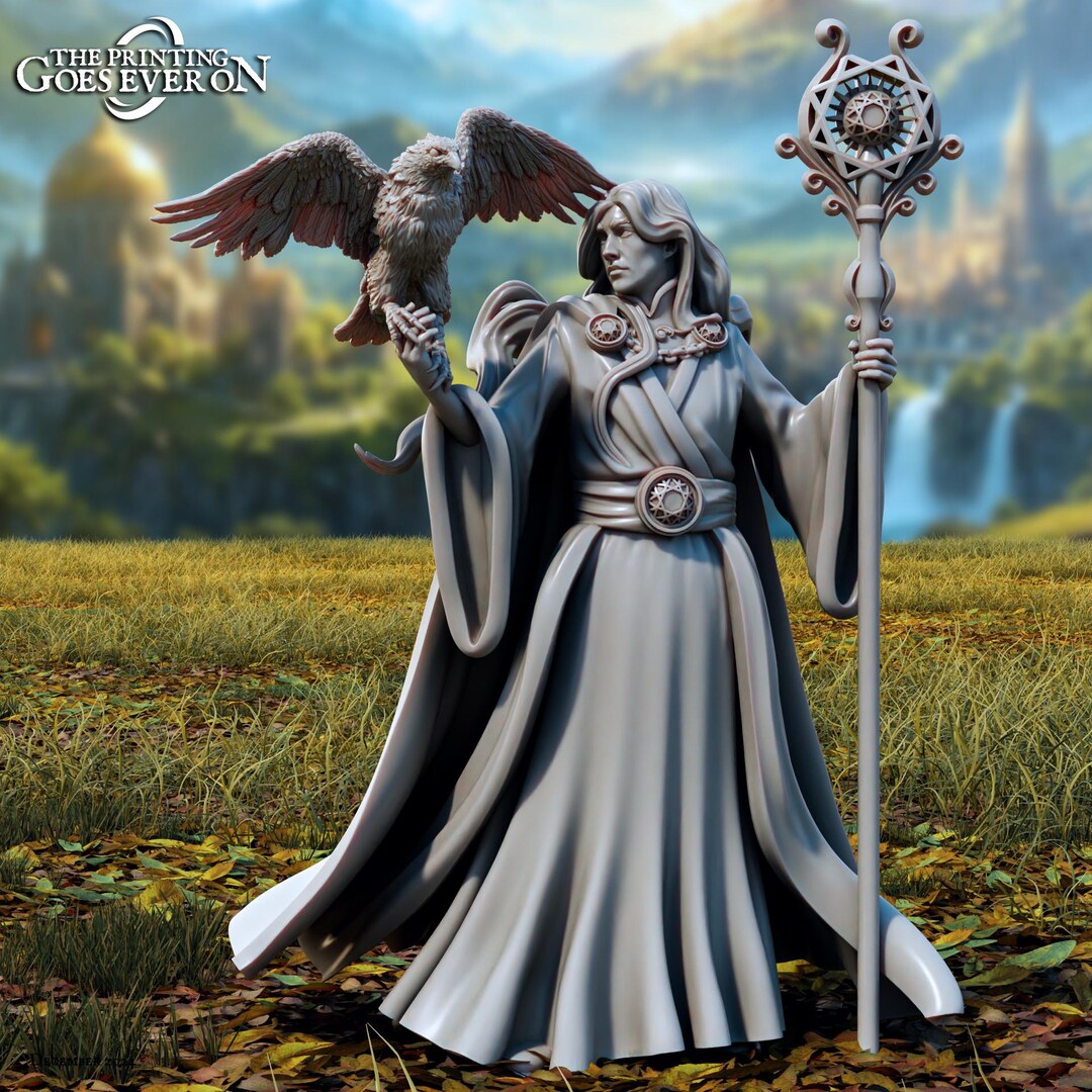 Wizard With Eagle Familiar PC / NPC | Unpainted Miniature | 5 Sizes ...