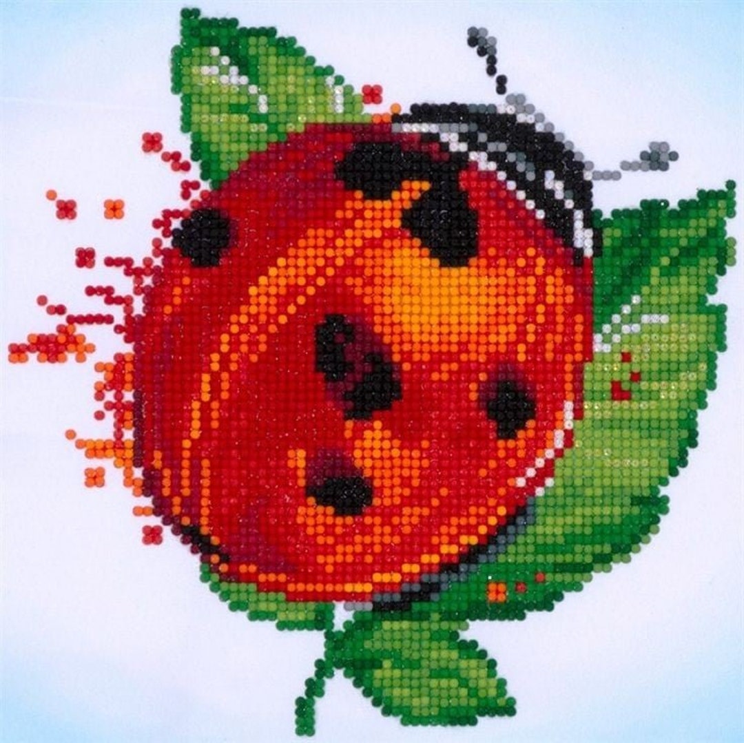 Lady-bird Cross Stitch Pattern, Ladybug Cross Stitch Pattern - Etsy