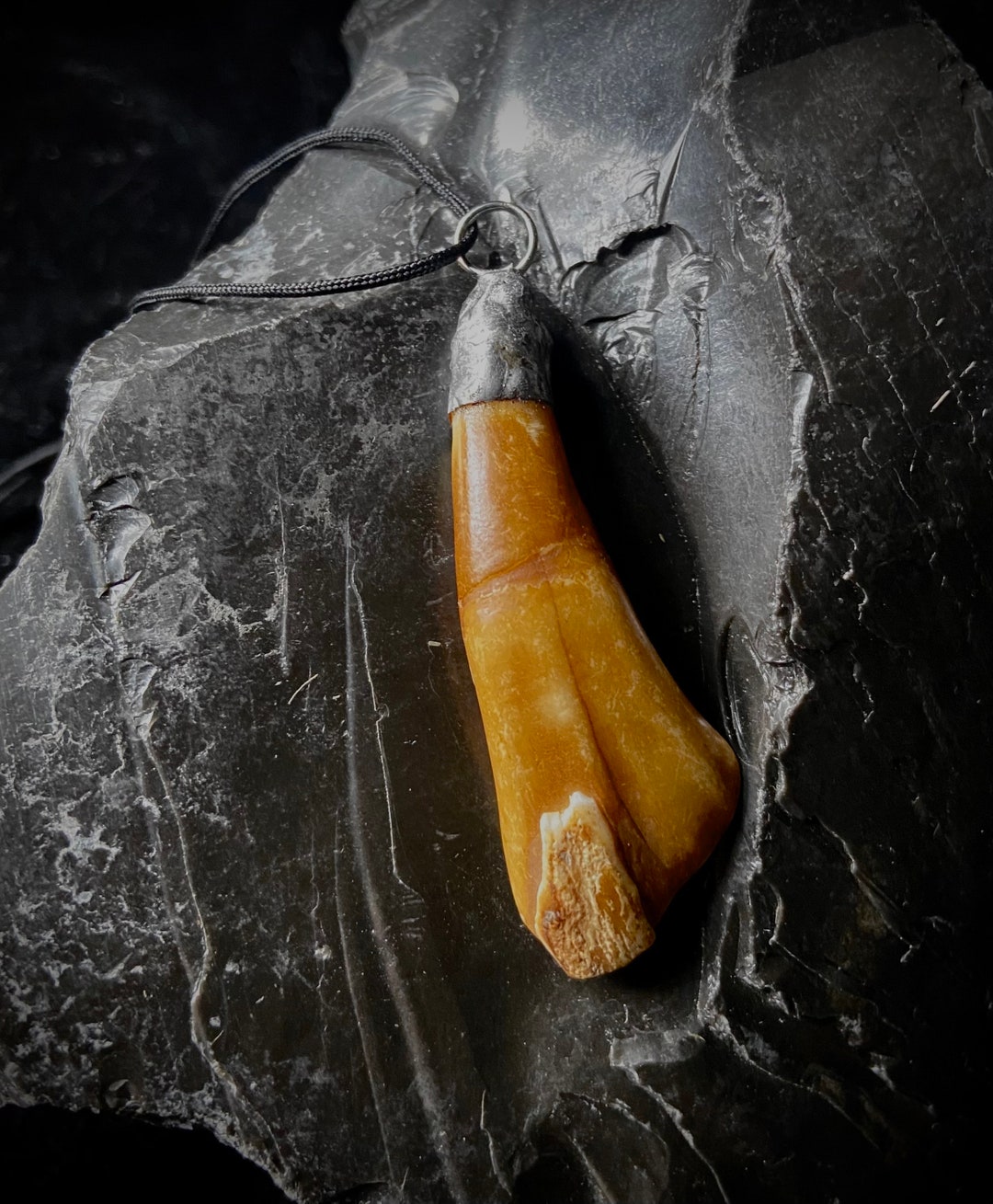 Water Buffalo Tooth Genuine Bone Pendant Necklace - Etsy