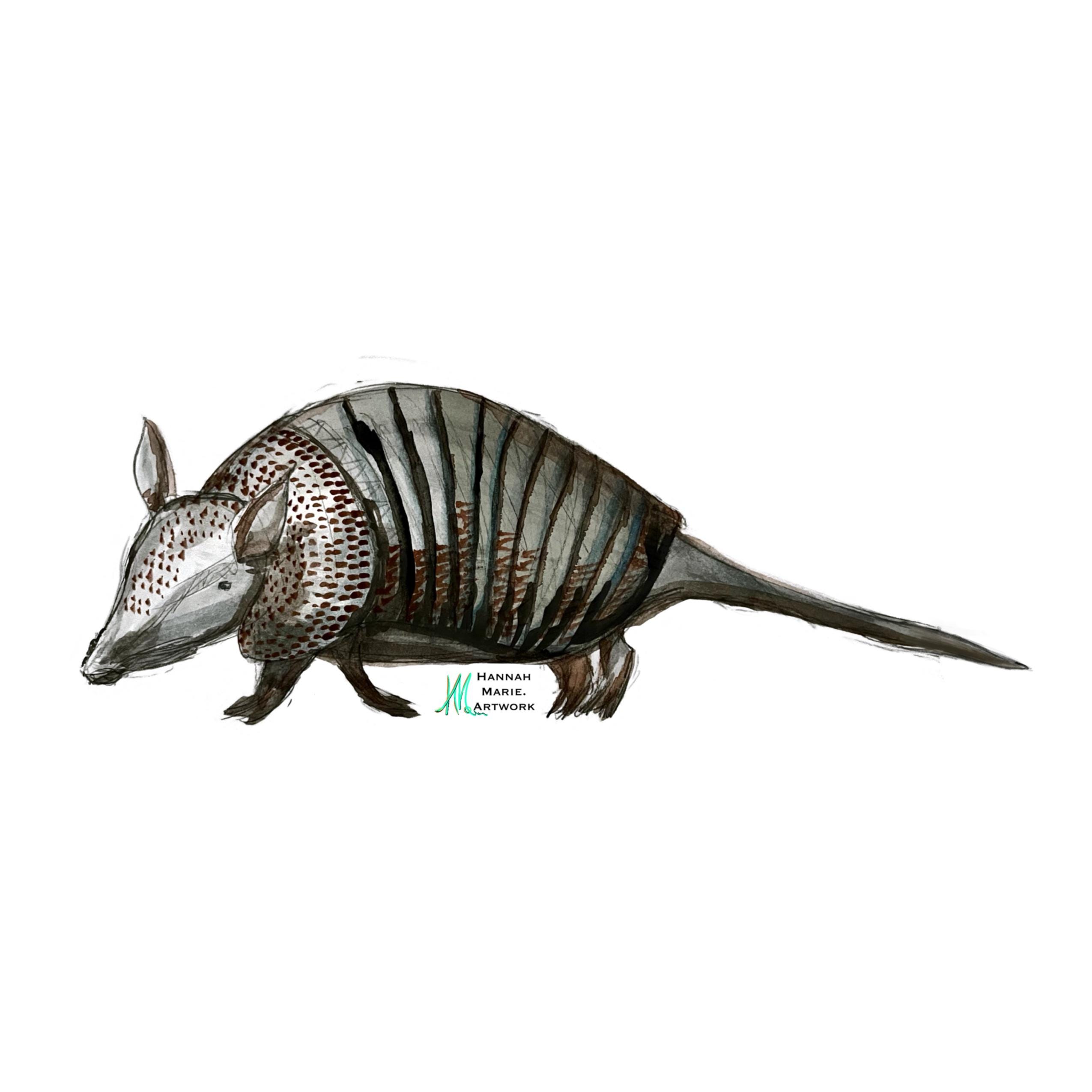 Armadillo | Watercolor Print | Digital Art | Kids Room | Texas Art ...
