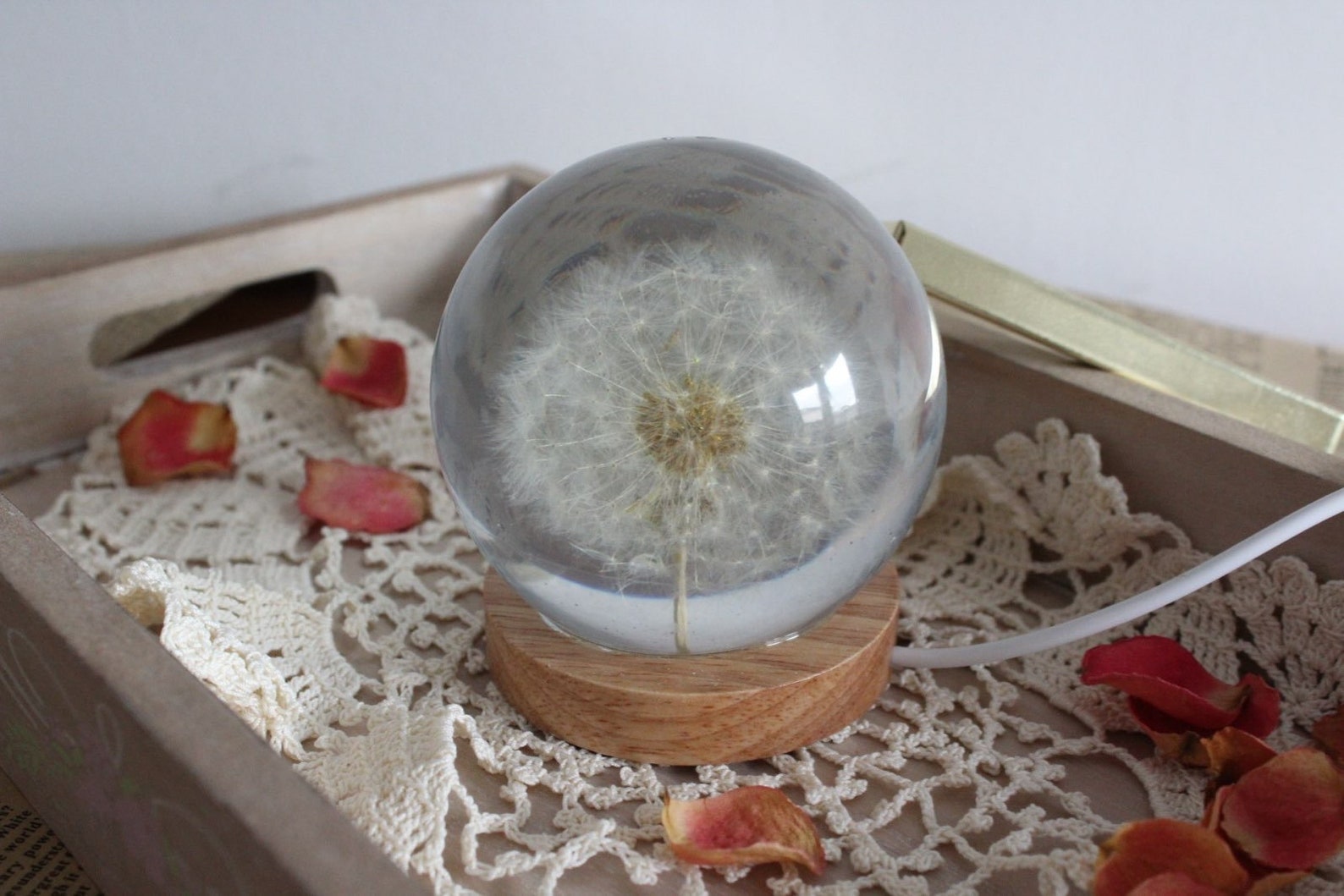 Dandelion Resin Lamp, Dried Flowers Lamp, Real Flower Light, Night ...
