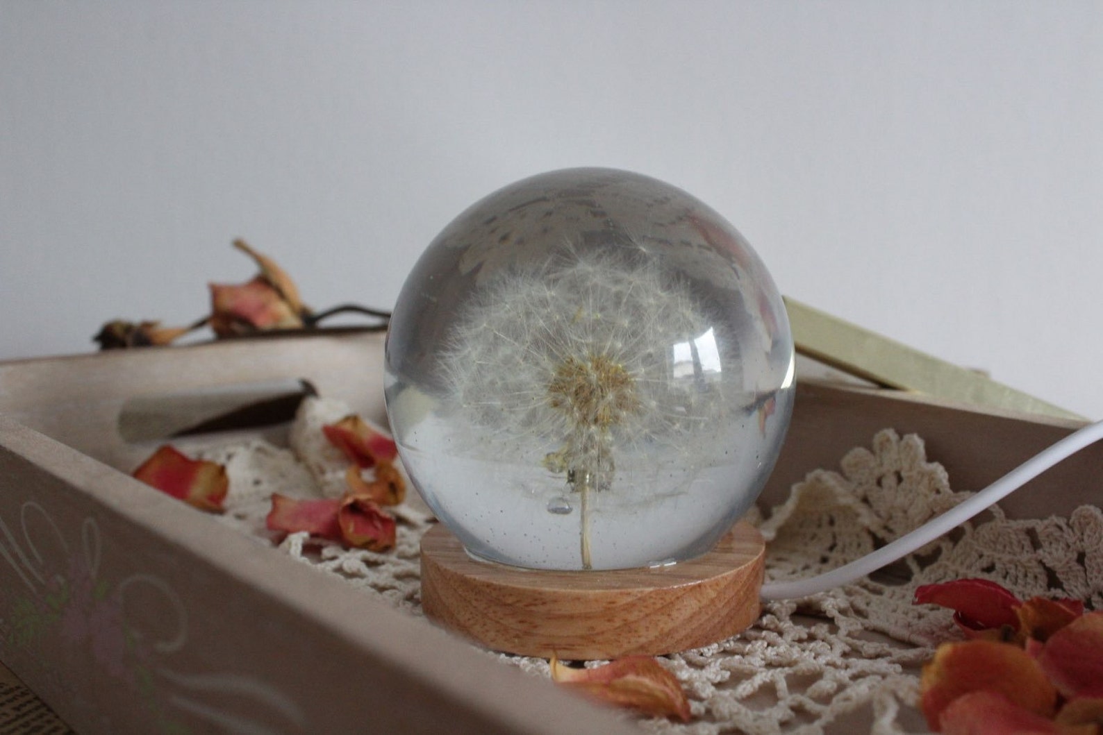 Dandelion Resin Lamp, Dried Flowers Lamp, Real Flower Light, Night ...