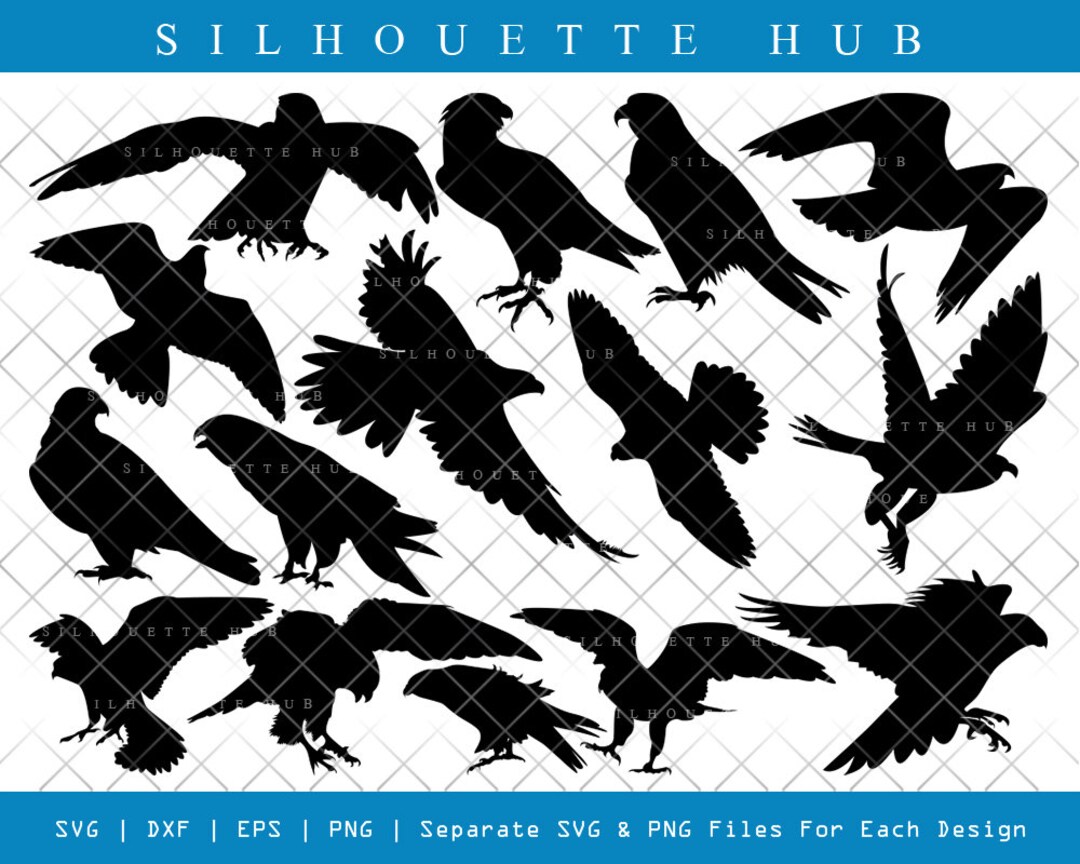 Falcon Bird SVG Cut Files Falcon Bird Silhouette Bird Svg - Etsy