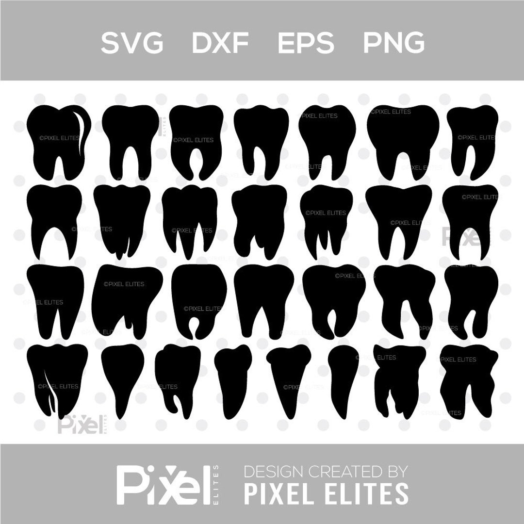 Tooth SVG Cut Files Tooth Silhouette Dental Svg Teeth Svg Dentist Tooth ...