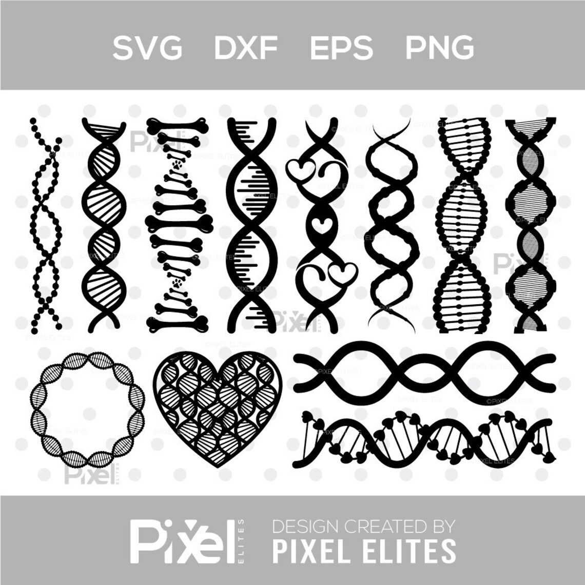 DNA SVG Cut File Bundle - Molecular Genetic Designs for Silhouette ...
