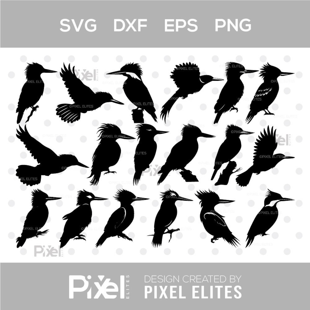 Kingfisher Silhouette Svg Bird Cricut Cut Files Png Bundle - Etsy