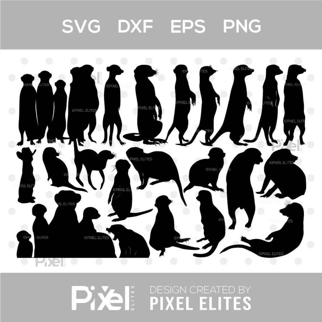 Meerkat SVG Cut File Bundle Cute Meerkats, Surikats, Family & Safari ...