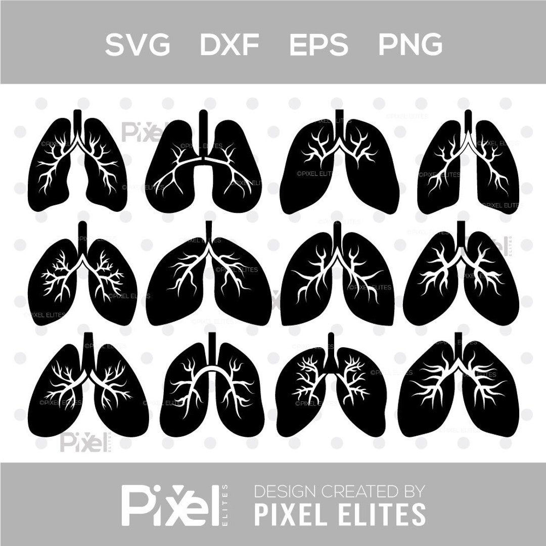 Human Lung SVG Cut File Bundle | Silhouette Designs for Respiratory ...