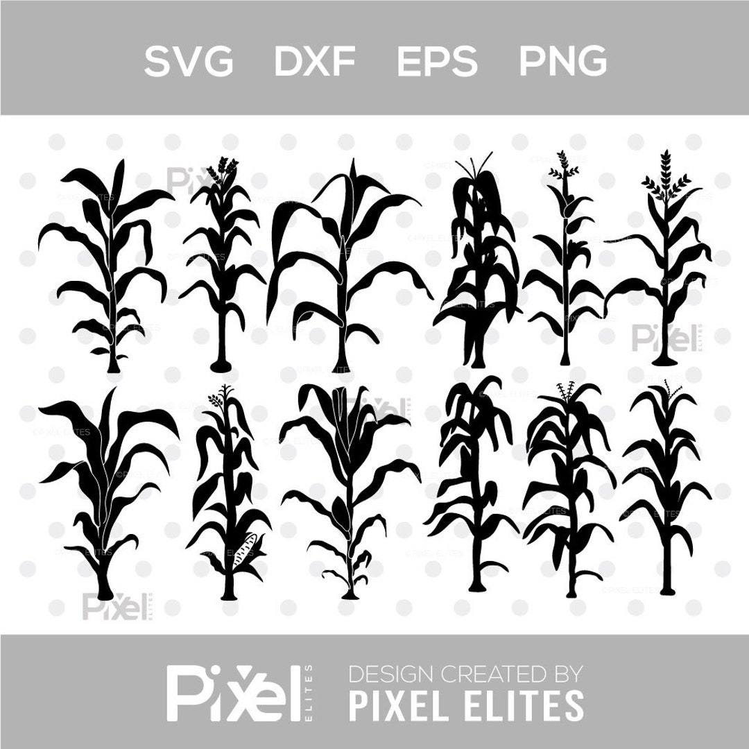 Corn Stalk SVG, Corn Stalk Silhouette, Corn Tree Svg, Corn Svg, Corn ...