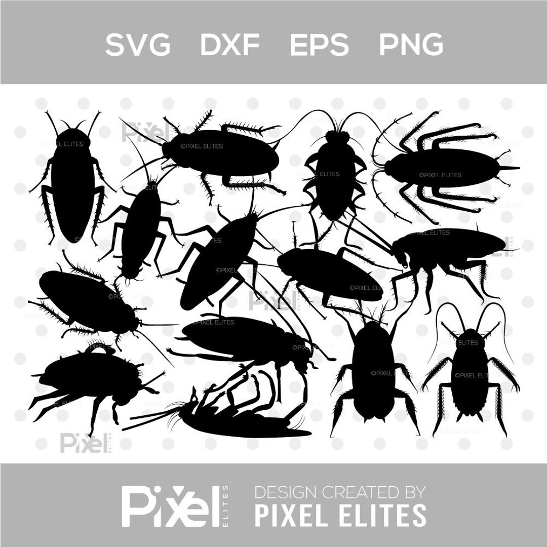Cockroach SVG Cut Files Cockroach Silhouette Cockroach Bug Svg Bug Svg ...