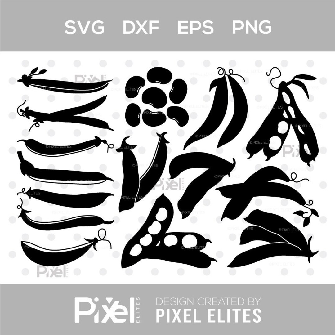 Beans SVG Cut File Bundle - Printable Designs for Kidney, French, Green ...