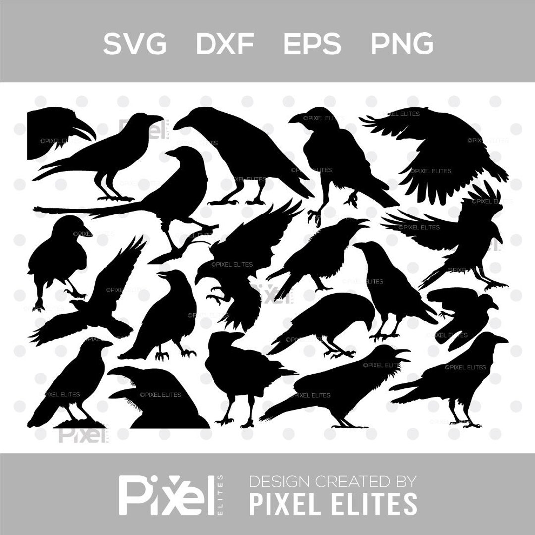 Crow SVG Cut Files Crow Silhouette Raven Svg Blackbird Svg Crows Svg ...