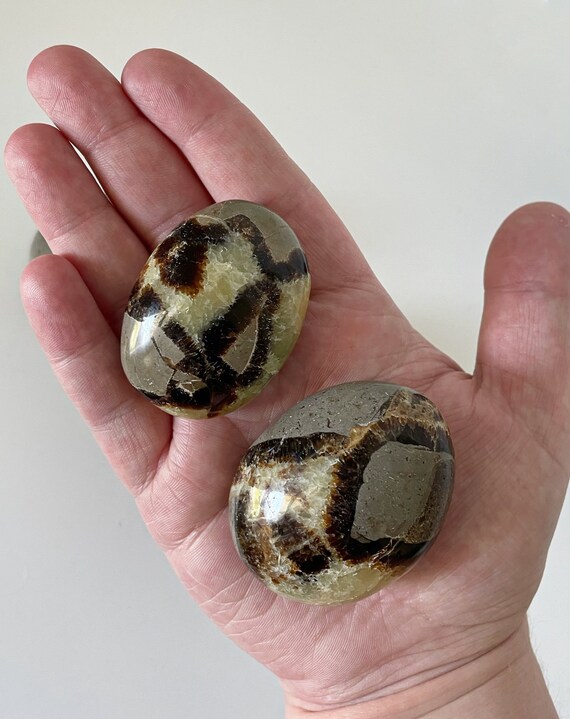 Septarian Palmstone Pocket Crystal Healing Metaphysical Septarian ...