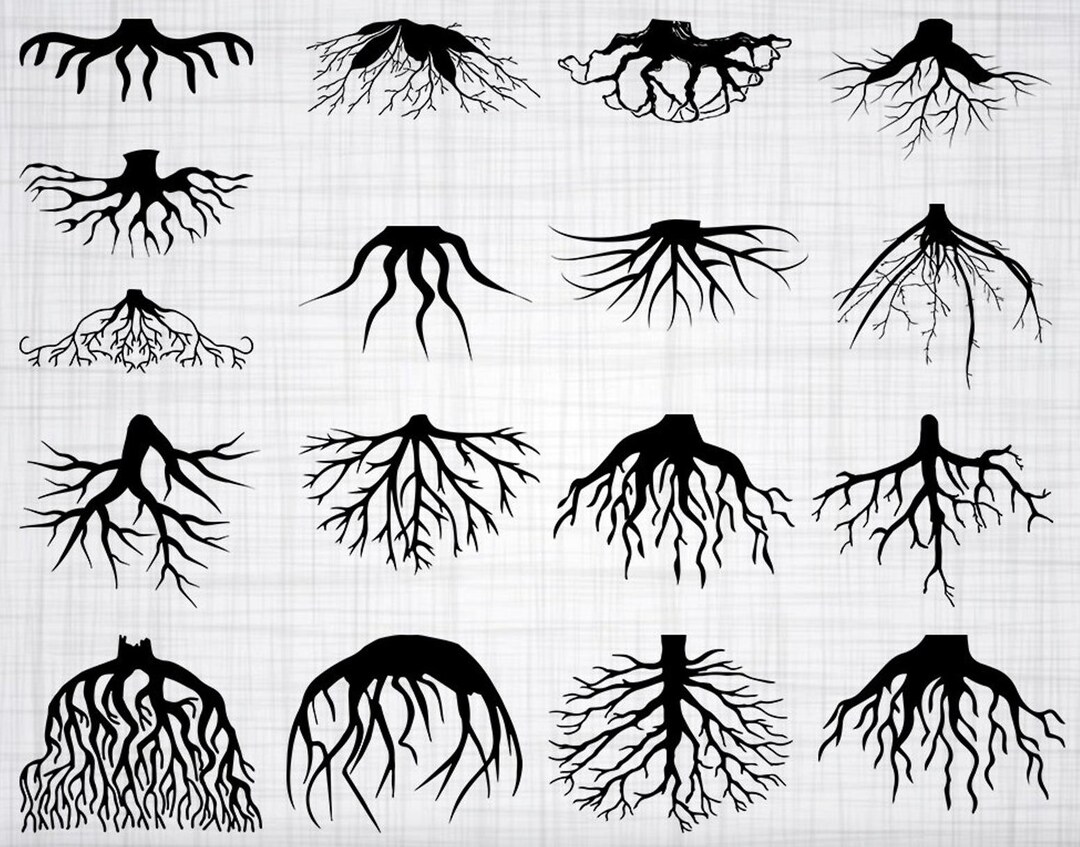 Roots Digital Download, Family Tree Root, Ground Your Roots, Rooted ...