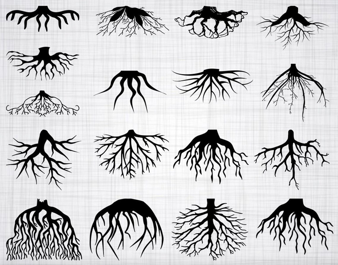 Roots Digital Download, Family Tree Root, Ground Your Roots, Rooted ...