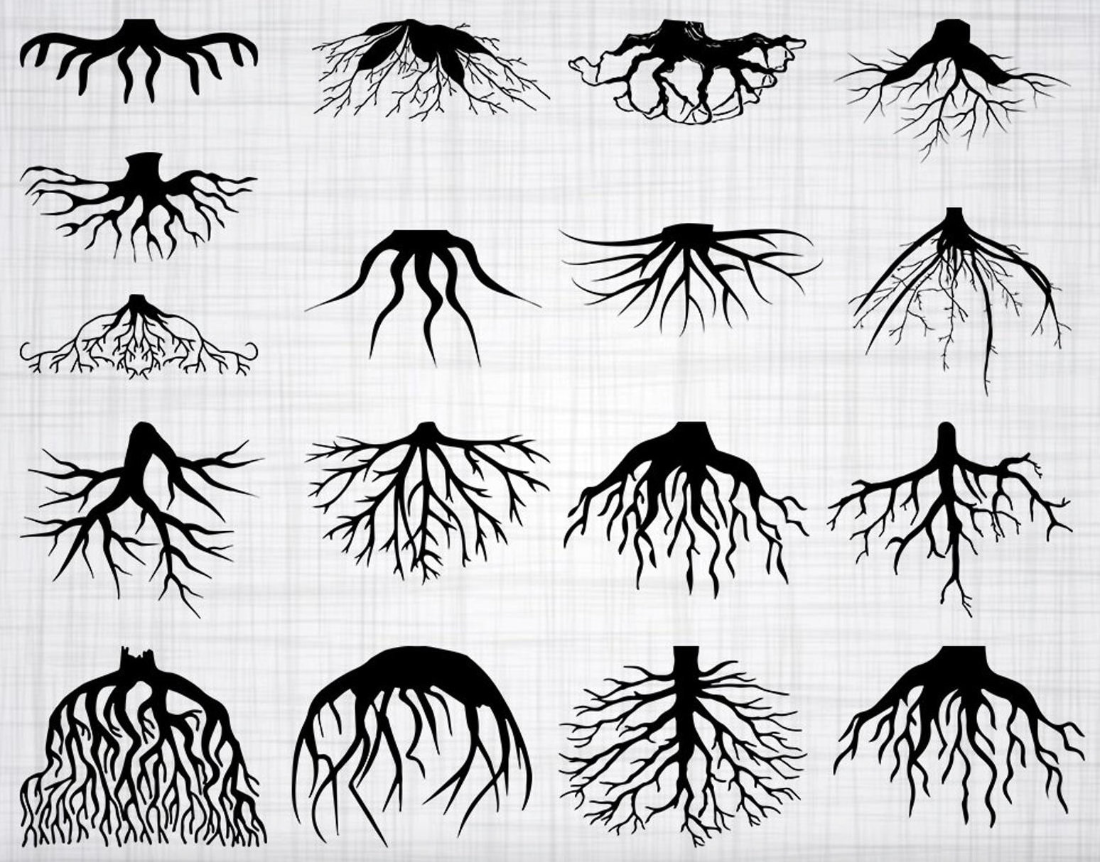 Roots Digital Download, Family Tree Root, Ground Your Roots, Rooted ...