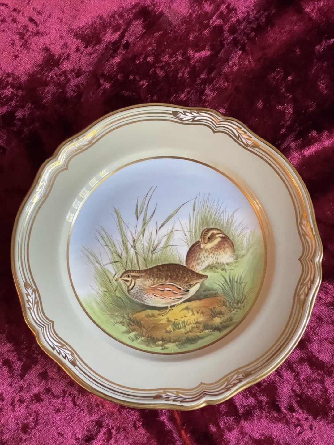 Spode Vintage "game Birds" Plate "quail". Hand Painted. Perfect ...