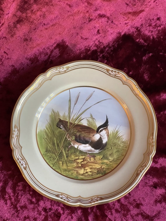 Spode Vintage game Birds Plate - Etsy