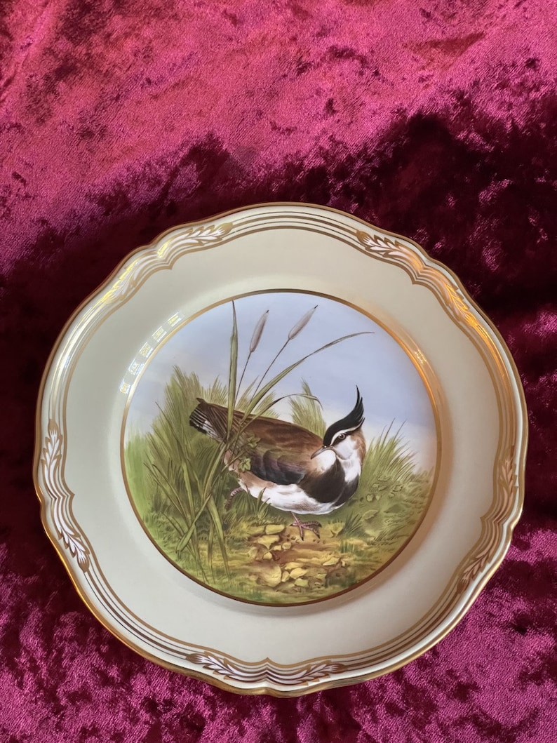 Spode Vintage "game Birds" Plate "lapwing". Hand Painted. Perfect ...