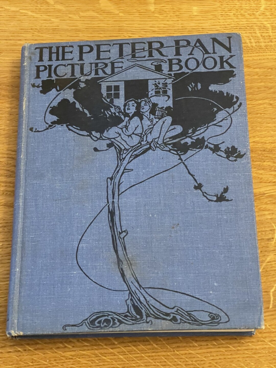 PETER PAN Picture Book Illustrated by Alice B Woodward and Daniel O ...